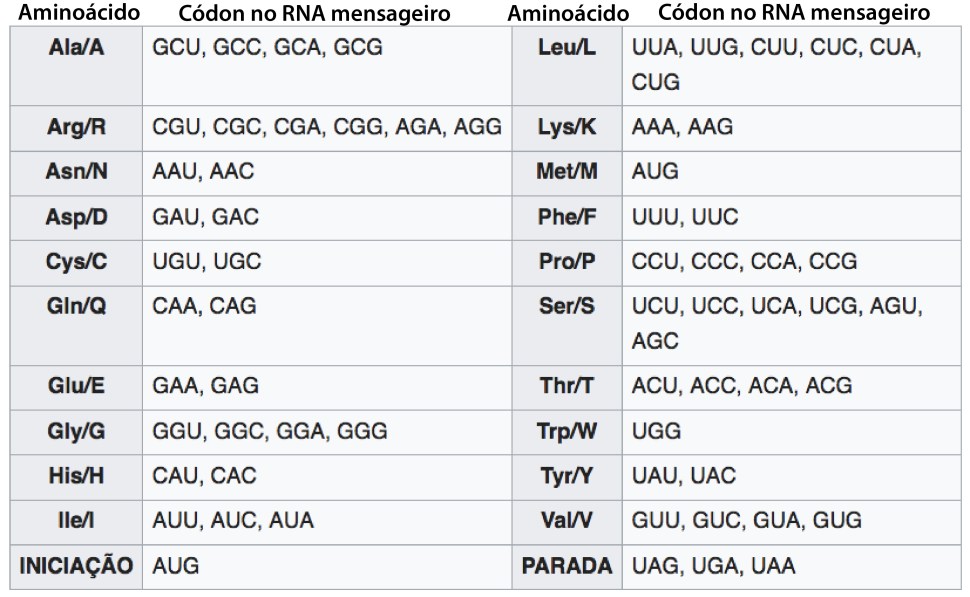 Vida semissintética é uma realidade cada vez mais próxima de nós ...